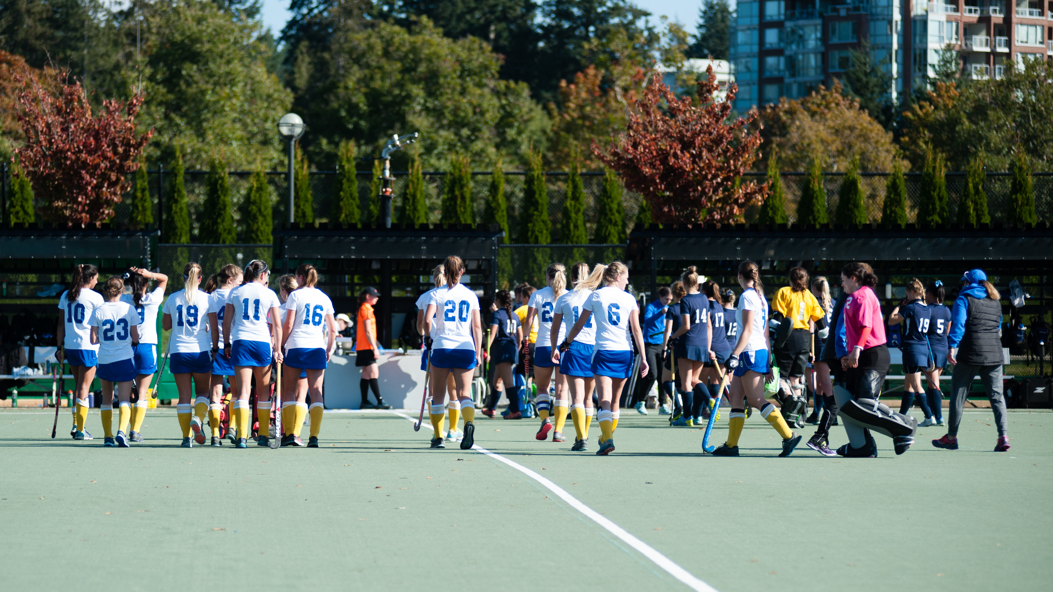'Birds crowned Canada West champions once again with victories over Vikes